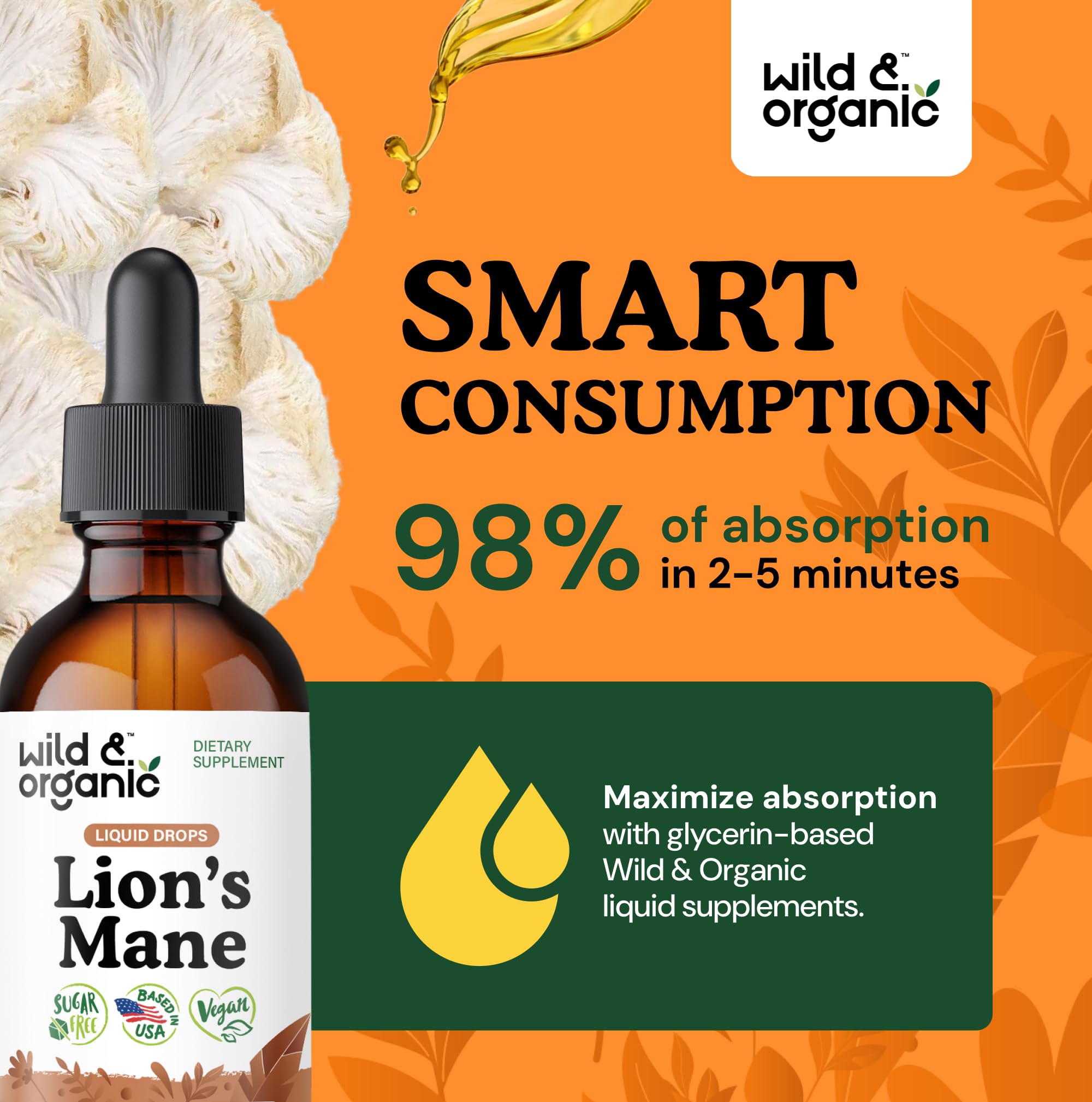 mushroom extract for mental clarity