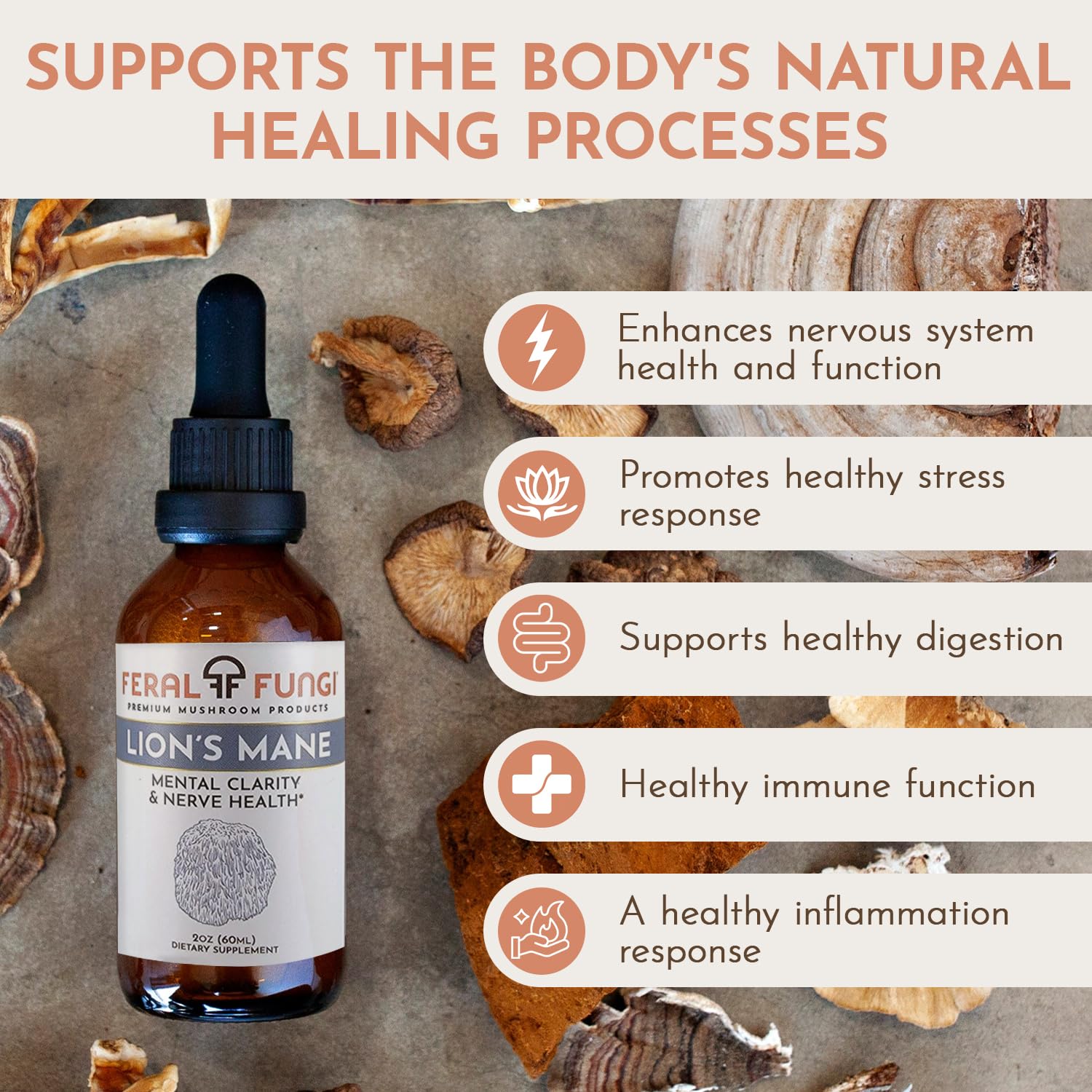 mushroom extract for mental clarity