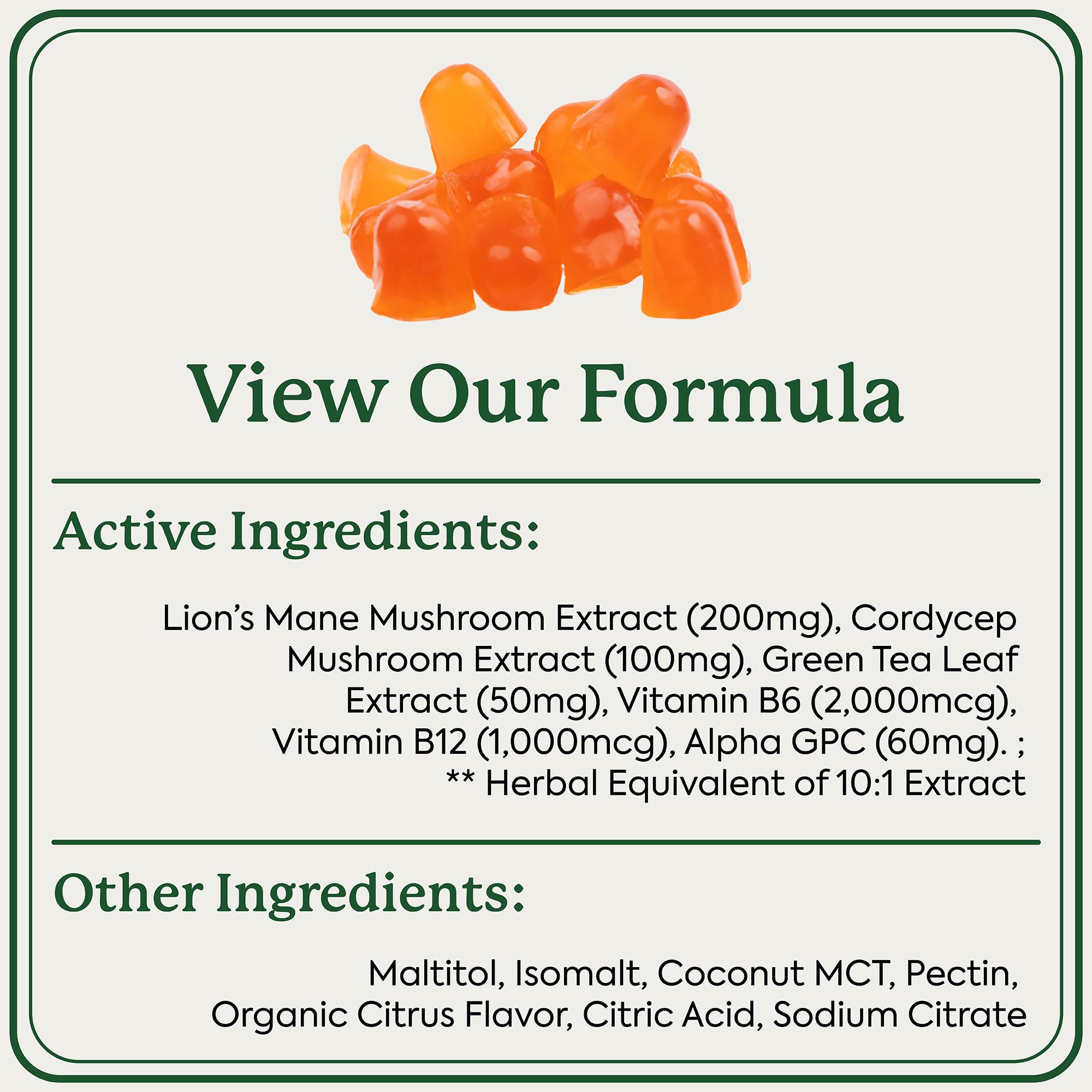 mushroom extract for mental clarity