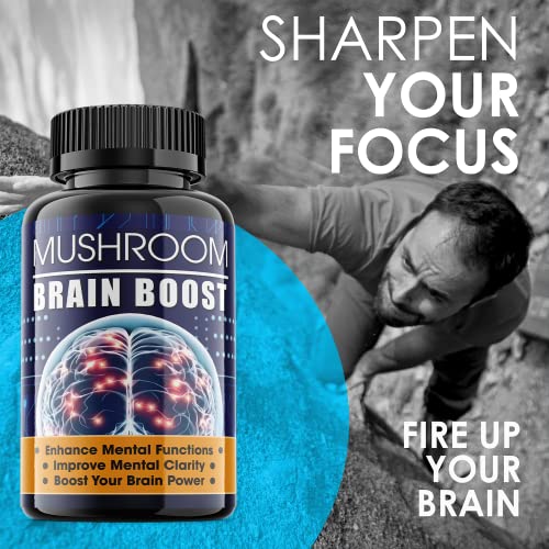 mushroom extract for mental clarity