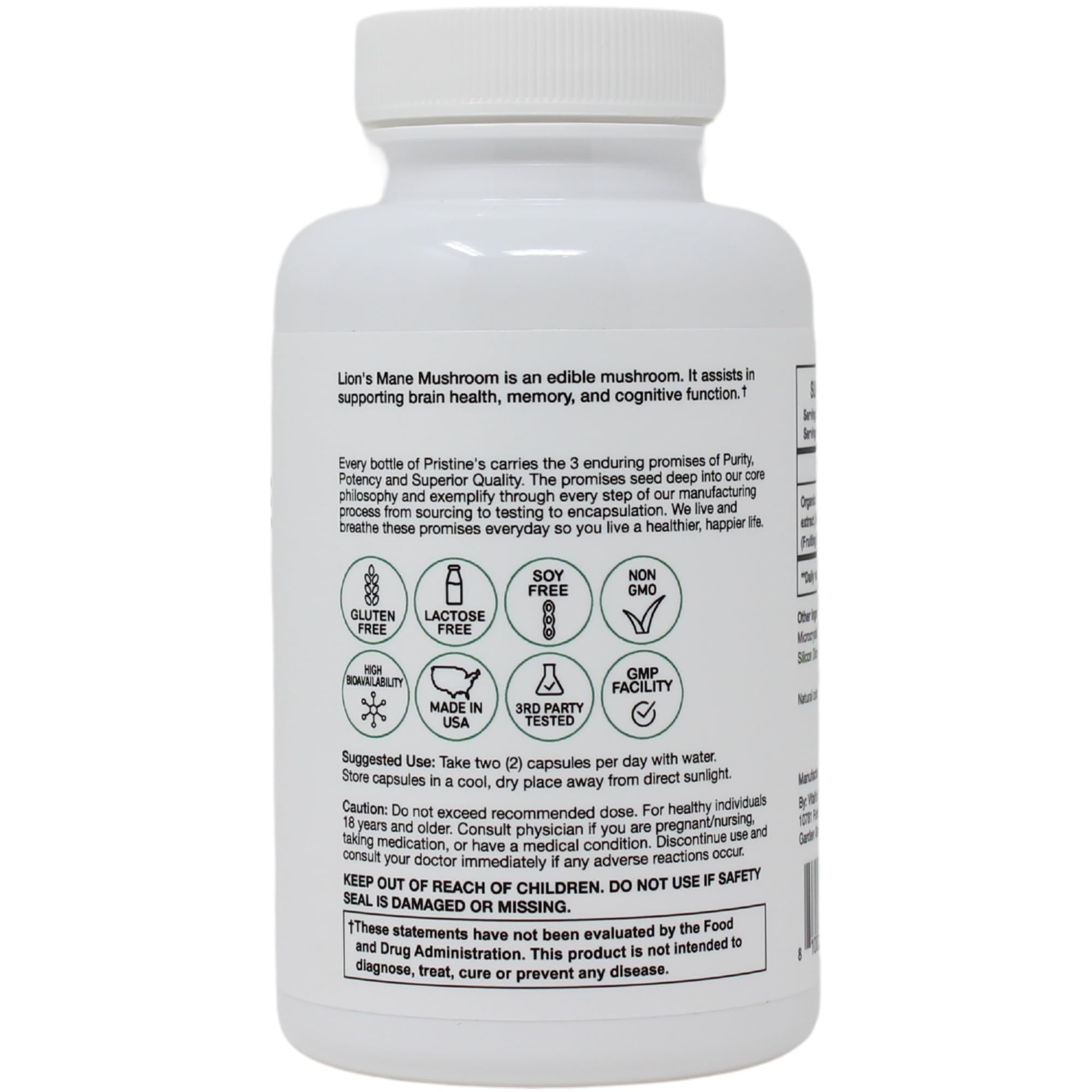 Mushroom extract for mental performance