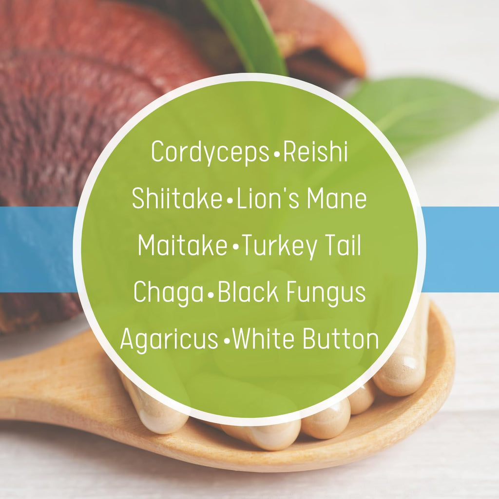 mushroom extract for natural energy