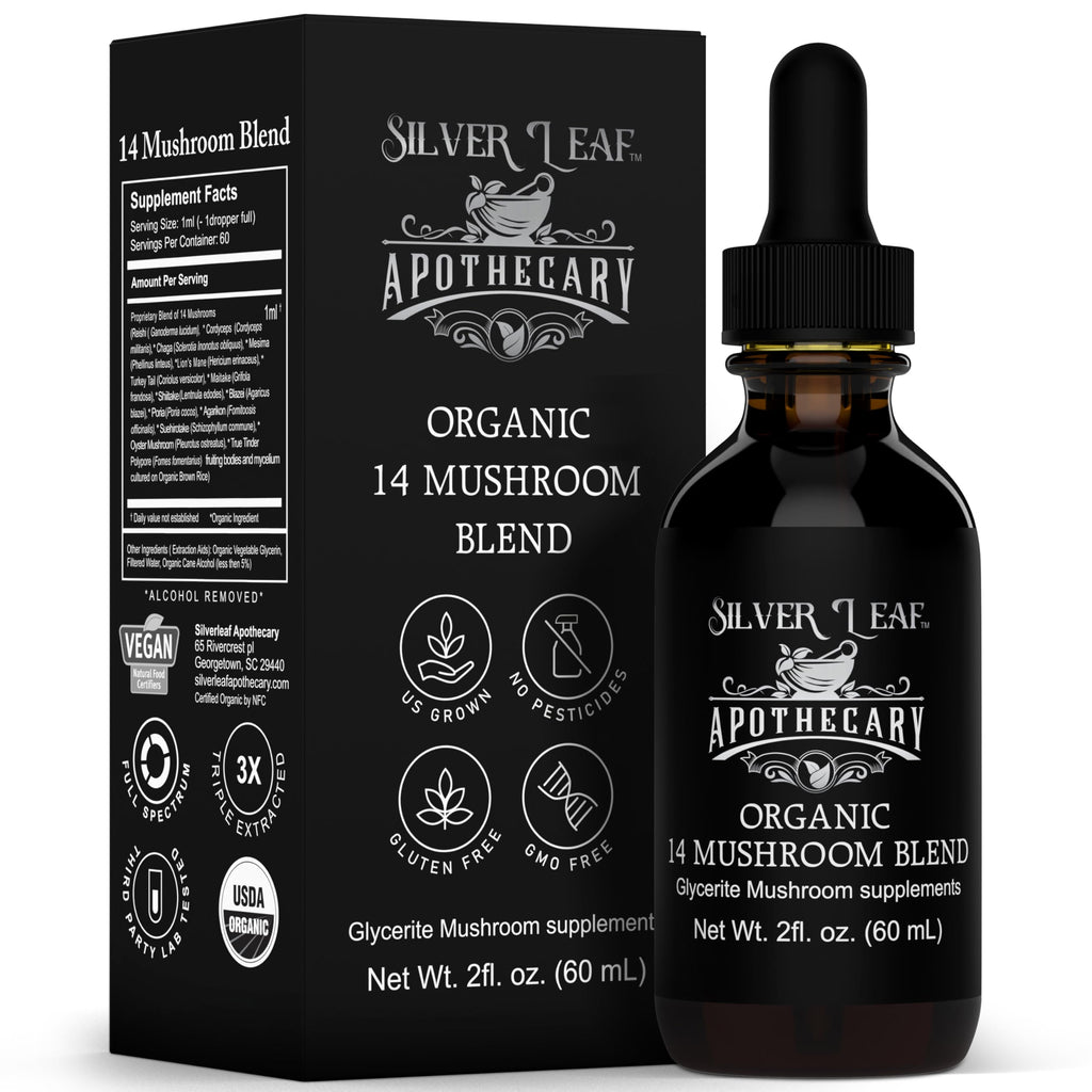 mushroom extract for natural energy