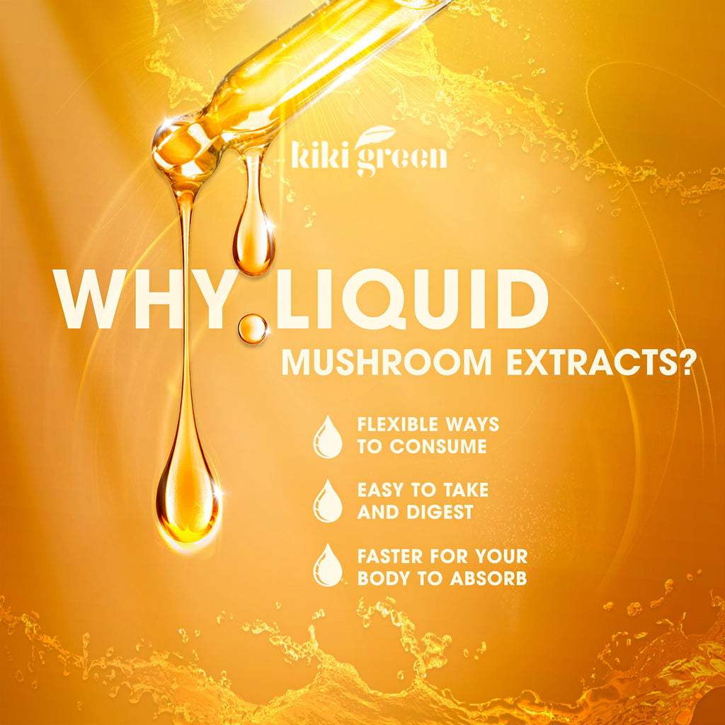 mushroom extract for natural energy