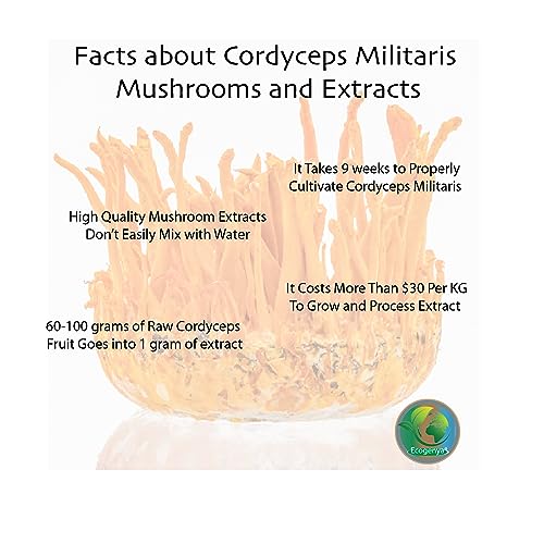 mushroom extract for natural recovery