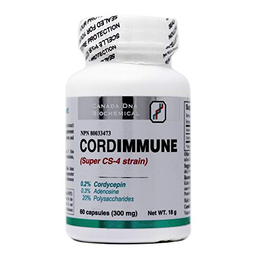 mushroom extract for natural wellness