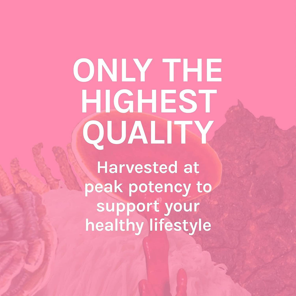Mushroom extract for overall health