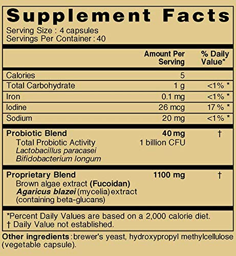 Mushroom extract for overall health