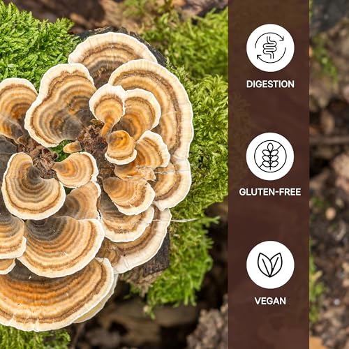 mushroom extract for overall health