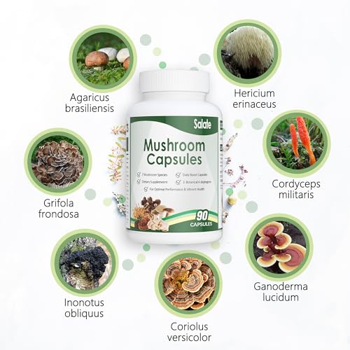mushroom extract for overall wellness