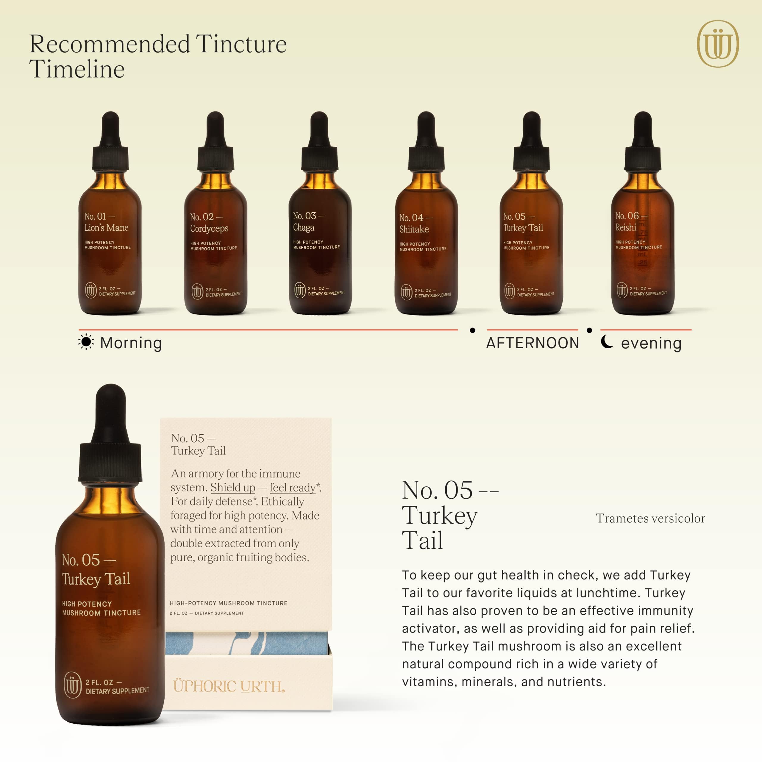 Mushroom extract for overall wellness