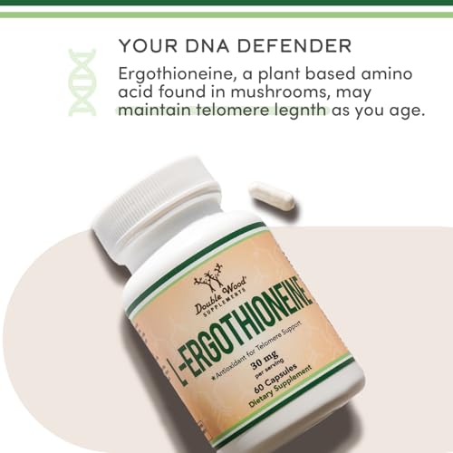 mushroom extract for overall wellness