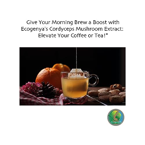 mushroom extract for overall wellness