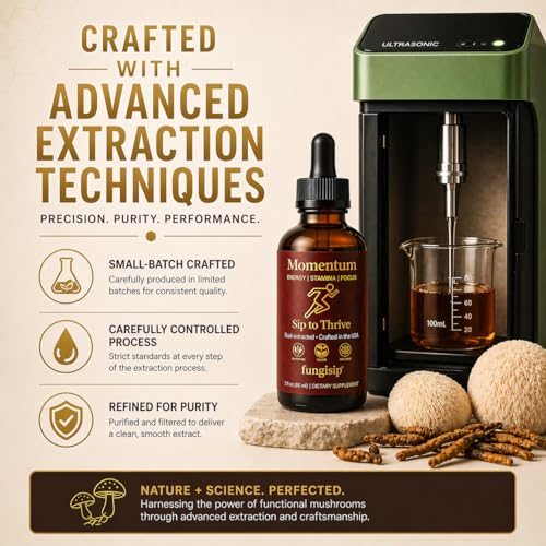 Mushroom extract for overall wellness