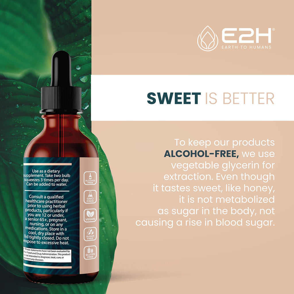 Mushroom extract for overall wellness
