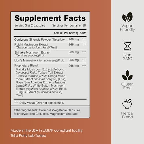 mushroom extract for overall wellness