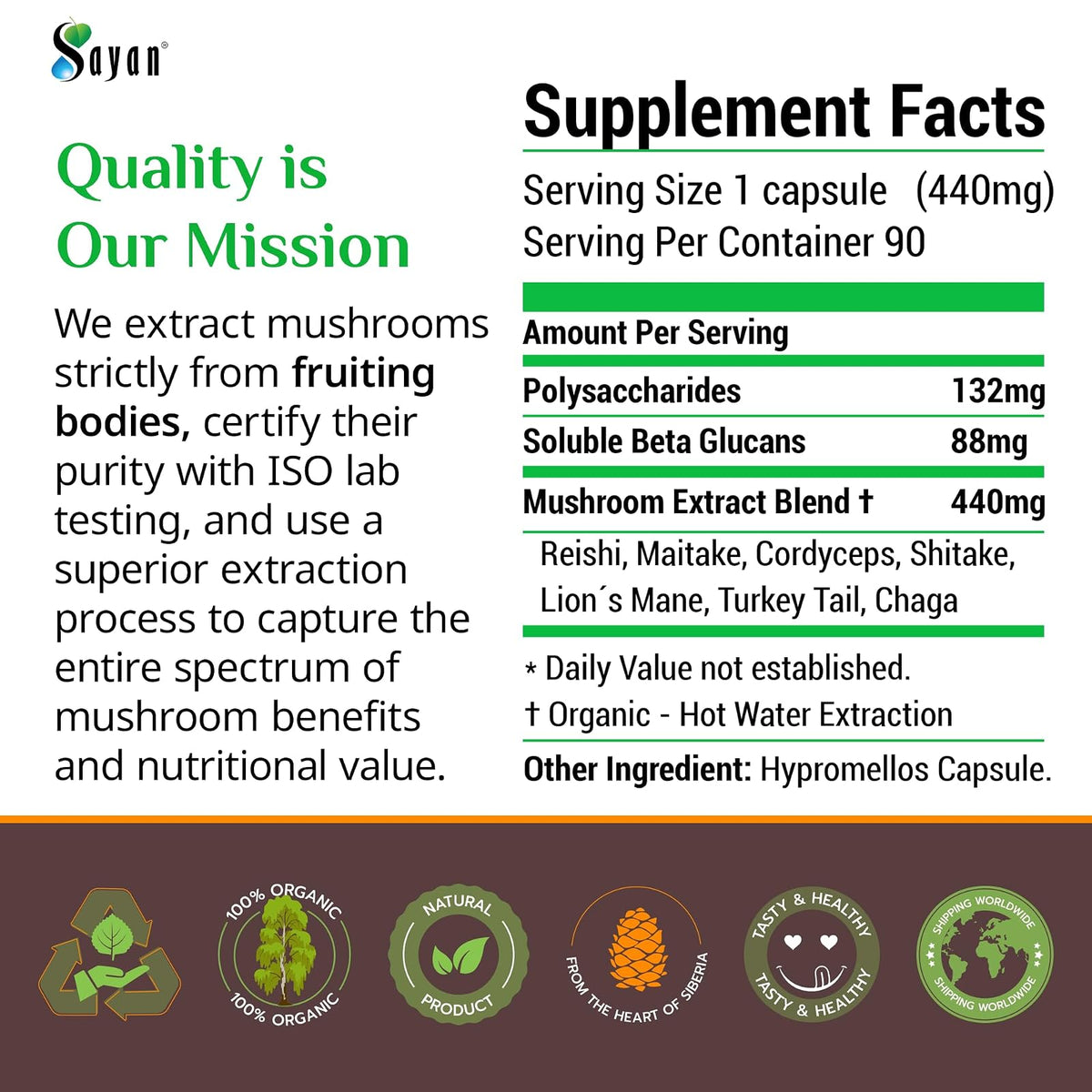 mushroom extract for overall wellness