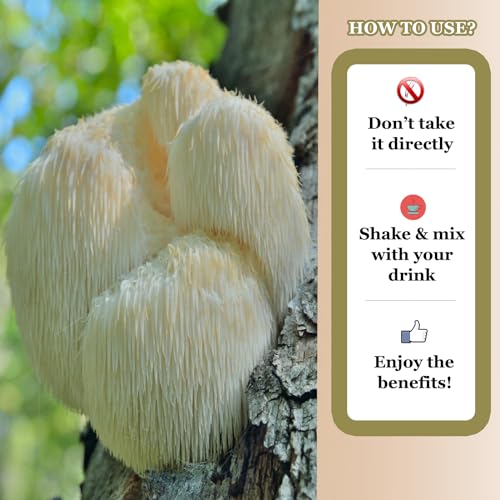 mushroom extract for stress relief