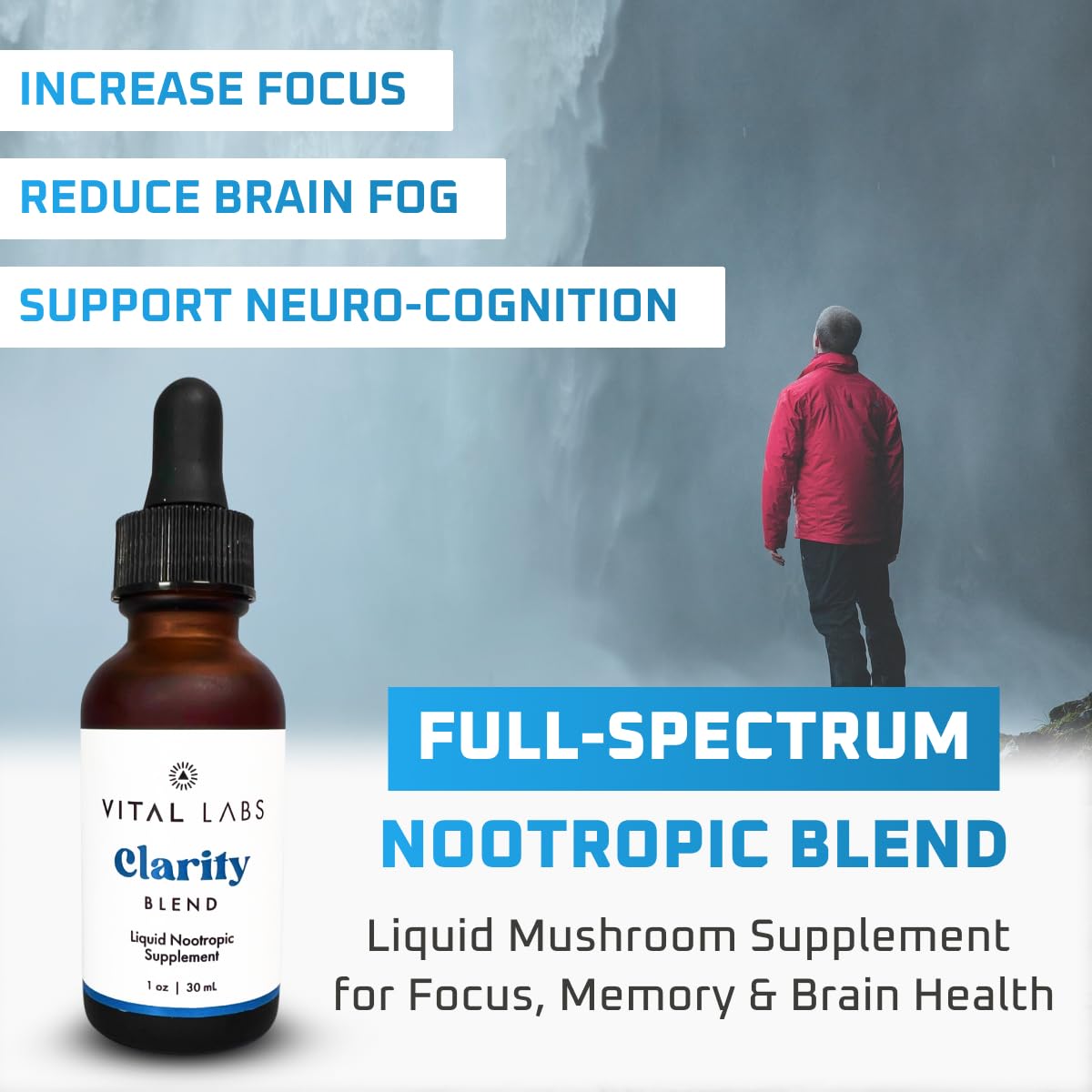 Mushroom extract for stress relief