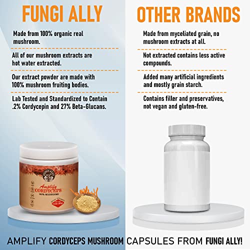 mushroom extract for stress relief