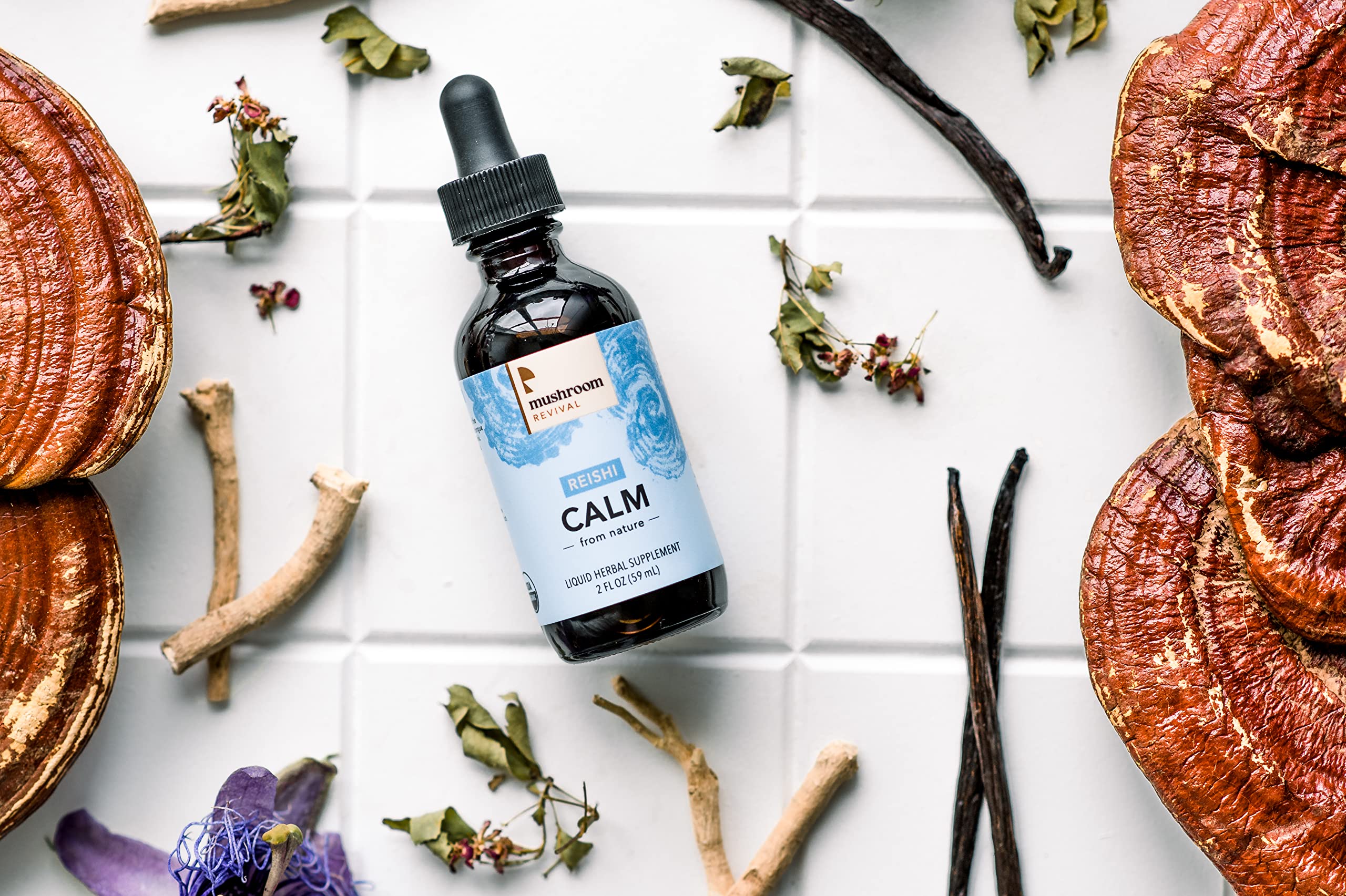 mushroom extract for vitality and energy