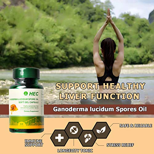 mushroom extract for vitality