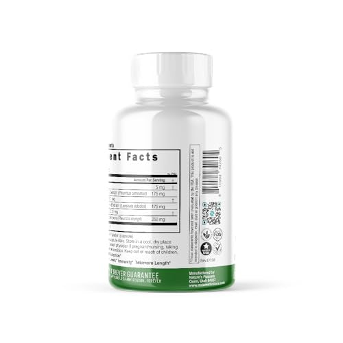 mushroom extract for vitality