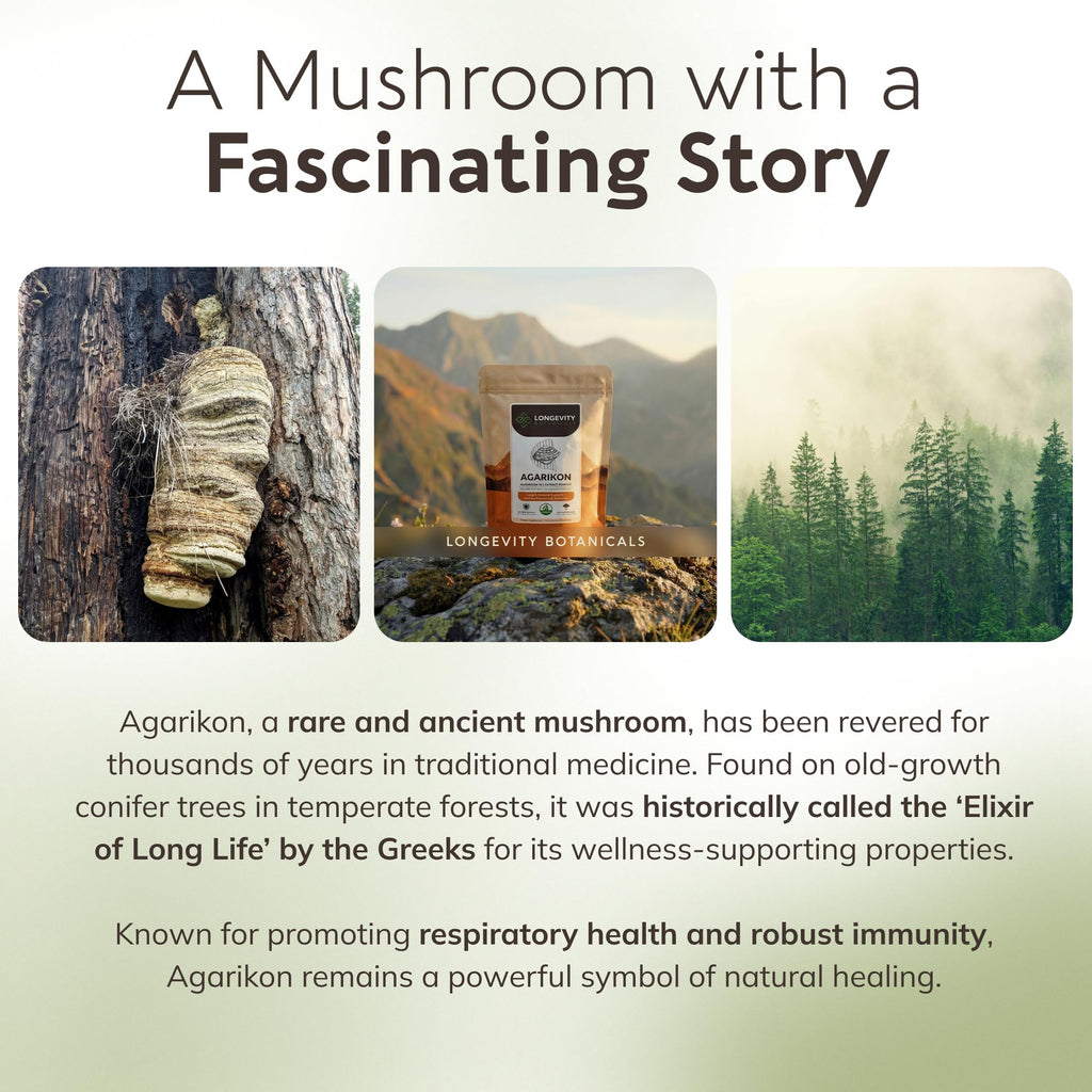 mushroom extract for vitality