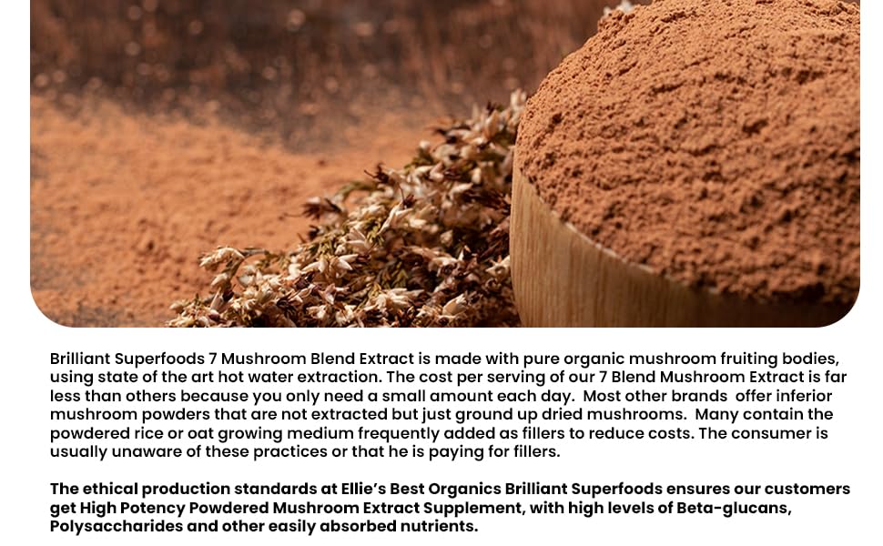 mushroom extract for wellness routines