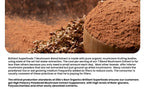 mushroom extract for wellness routines