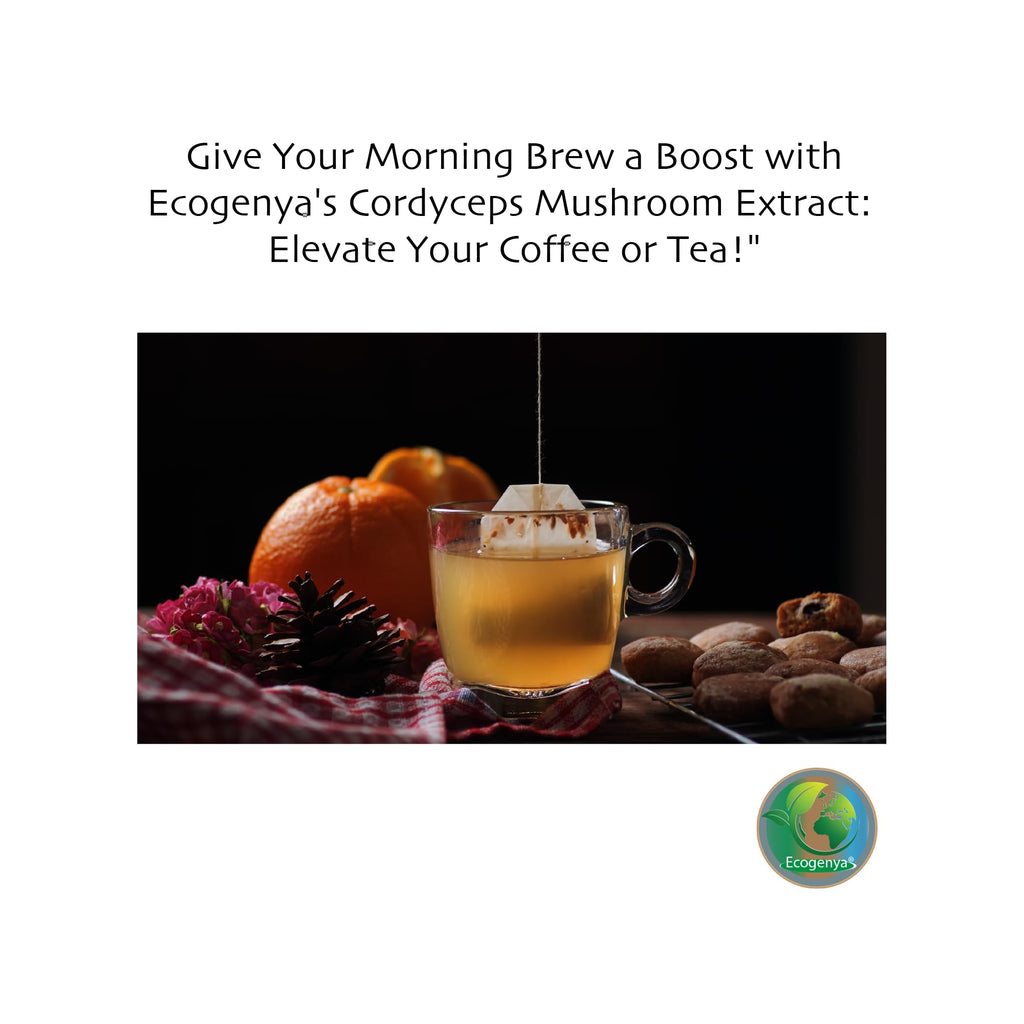 Mushroom extract for wellness