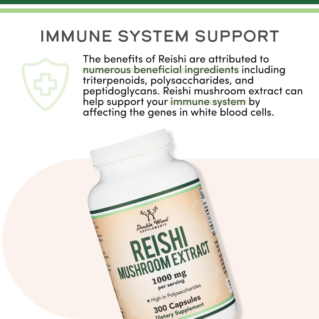 mushroom extract for wellness