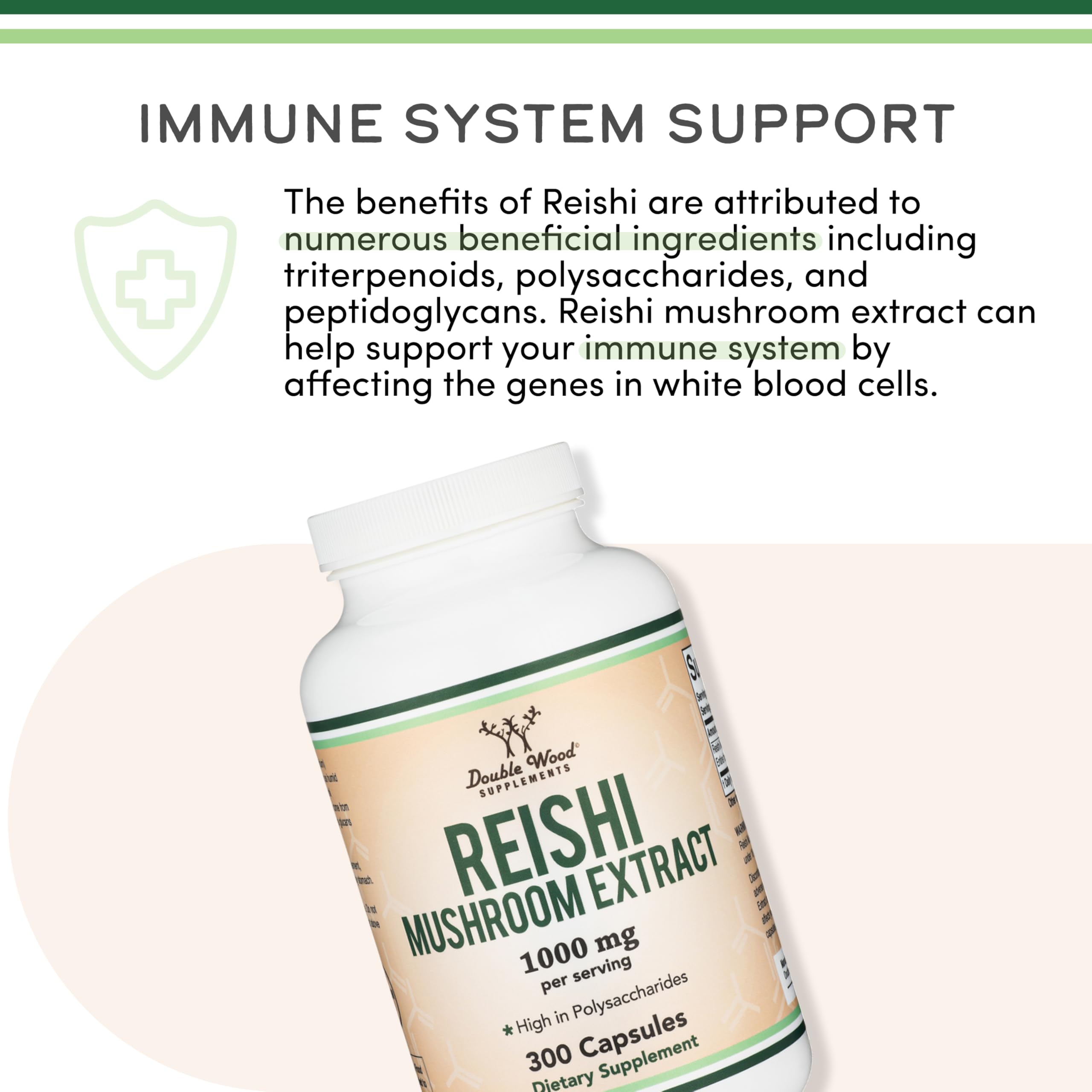 mushroom extract for wellness