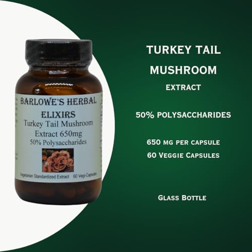 Mushroom extract for wellness