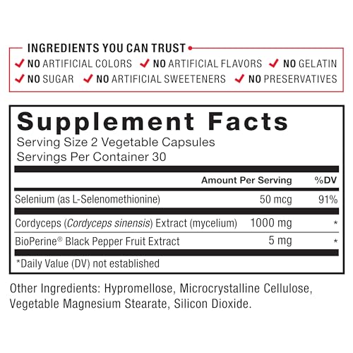 mushroom extract for workout recovery