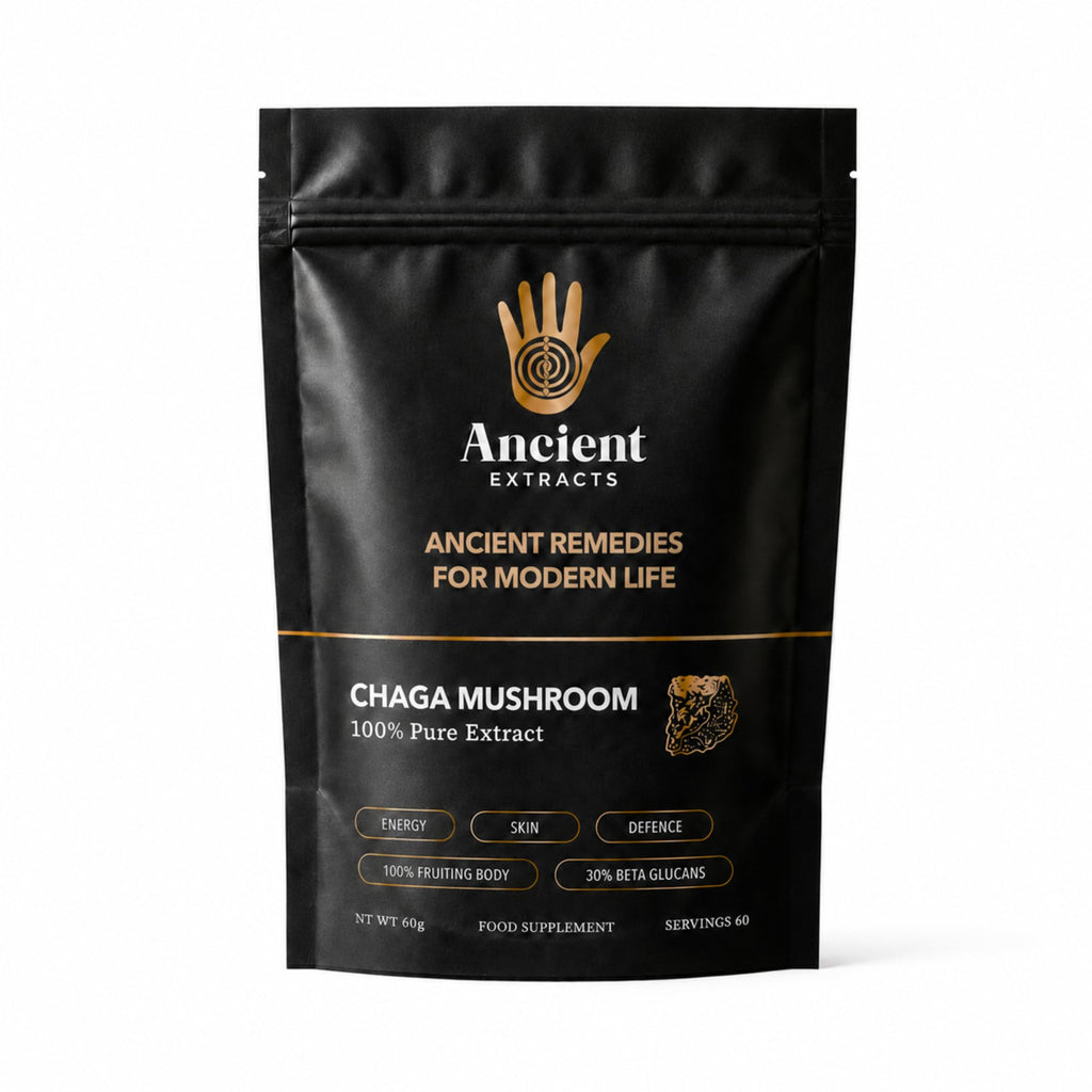 Mushroom extract powder for energy