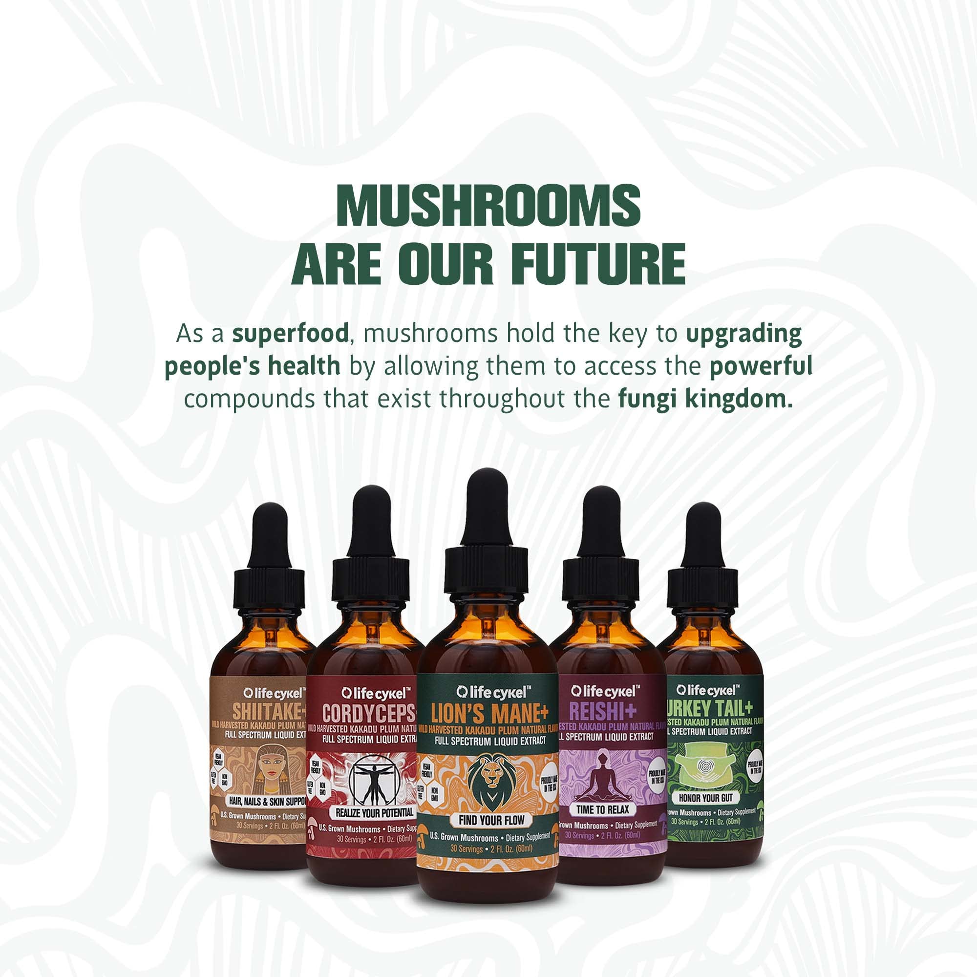 mushroom extract set for biohackers