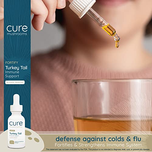 mushroom extract with no fillers