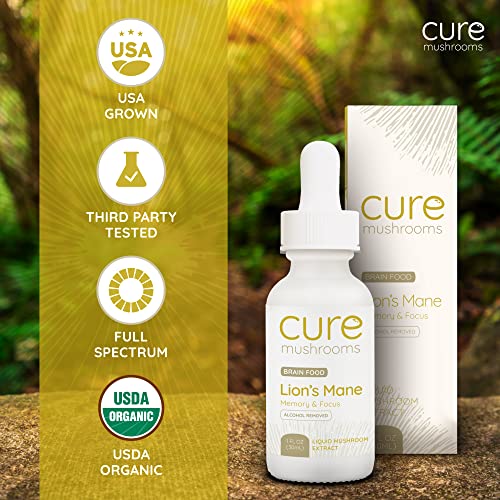 mushroom extract with no fillers