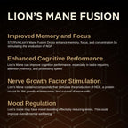 Mushroom extract with vitamins B6 and D