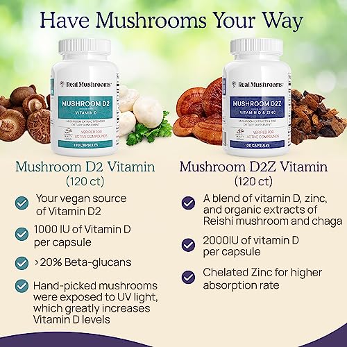 Mushroom extracts for better health