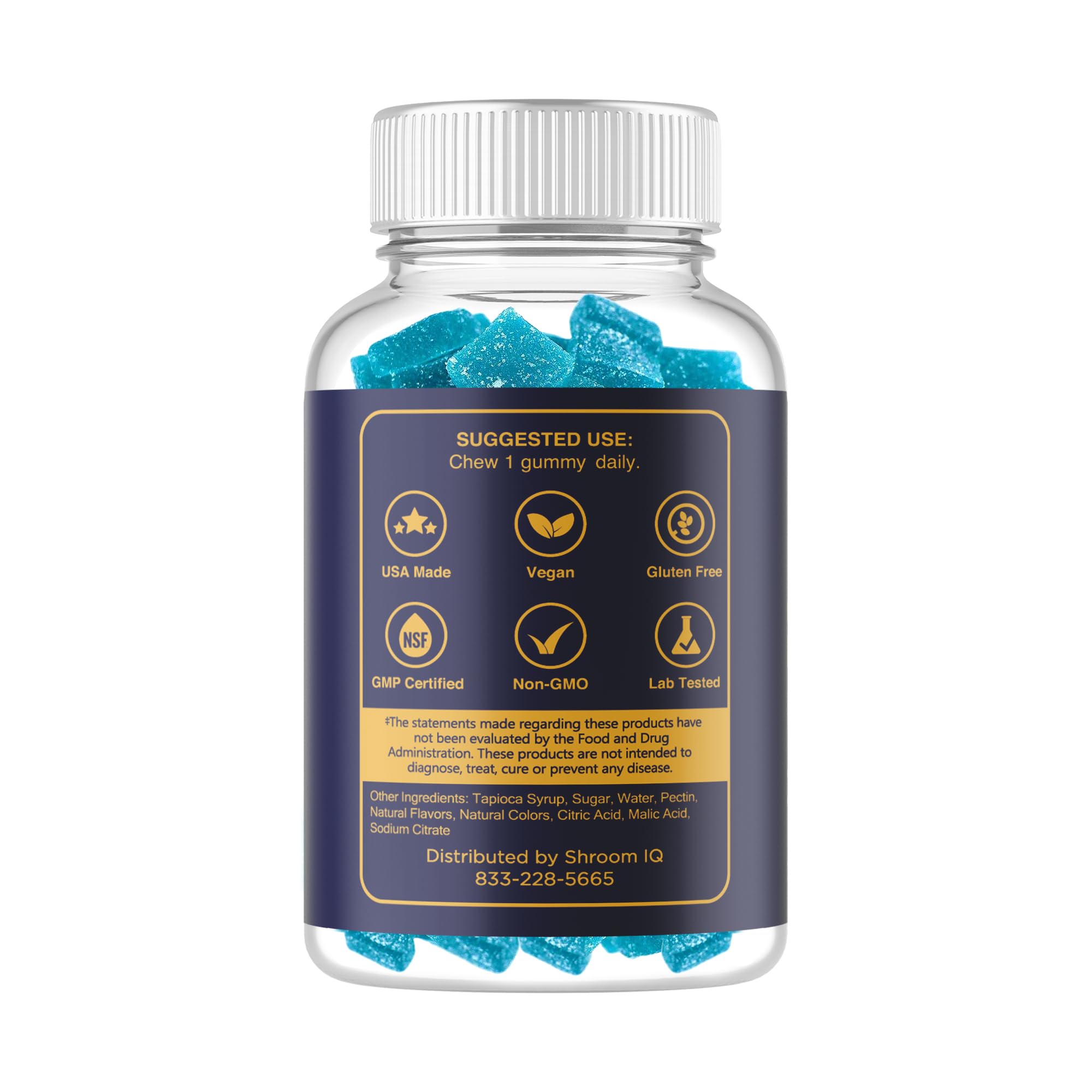 mushroom extracts for cognitive health