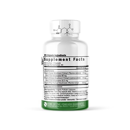 Mushroom extracts for immune support