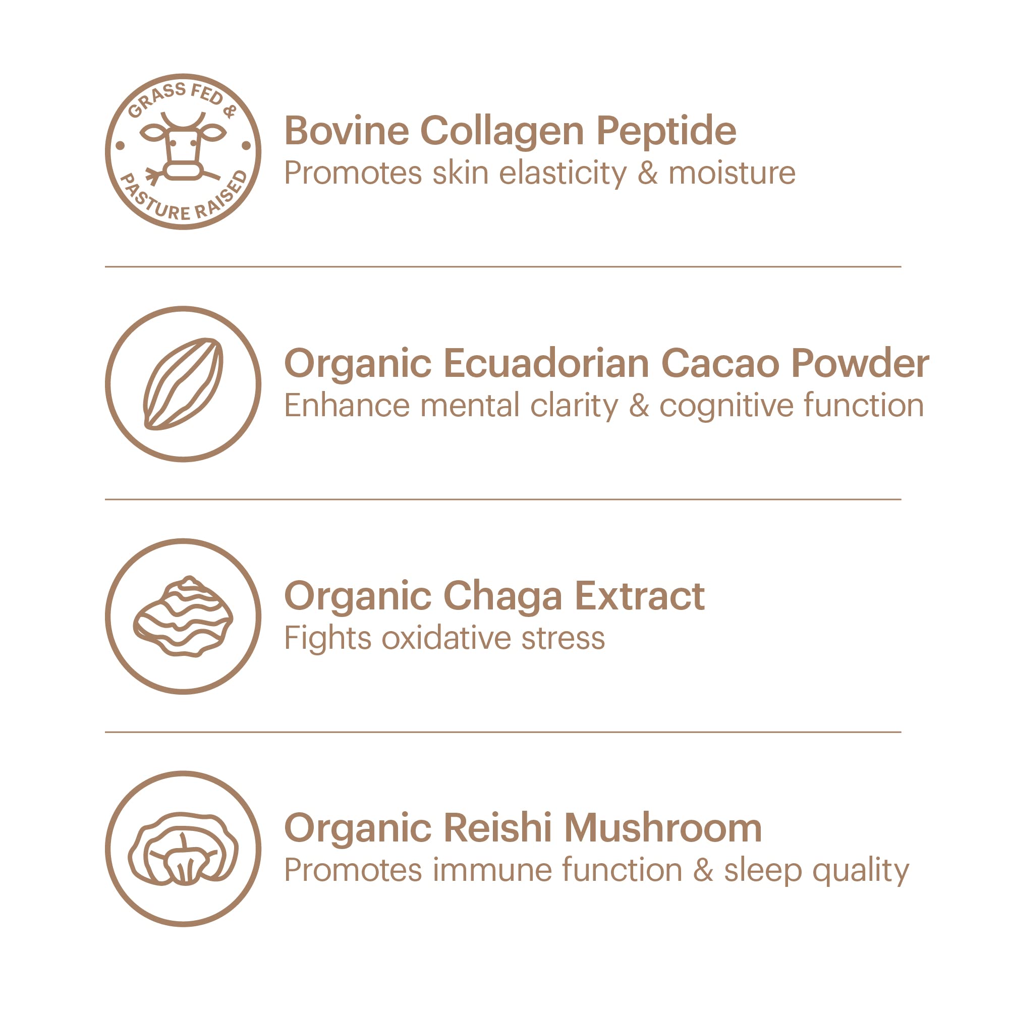 Mushroom extracts for natural vitality
