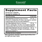 Mushroom focus supplement for clarity