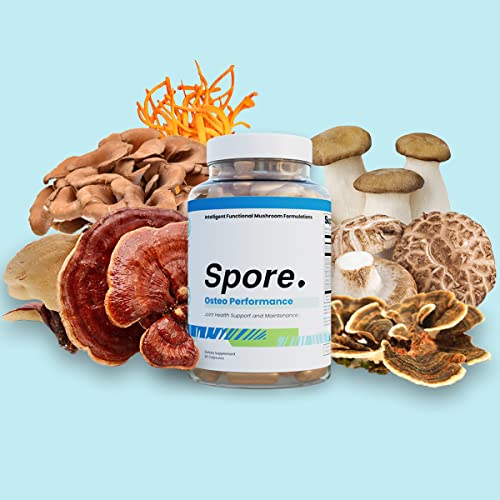 mushroom formulations for active lifestyle
