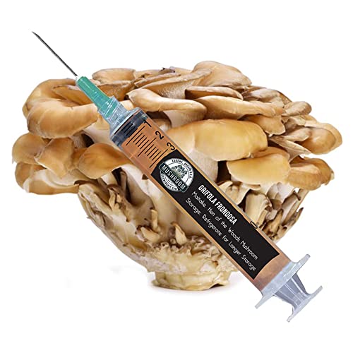 Mushroom growing kit for beginners