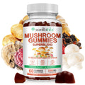 mushroom gummies for brain support