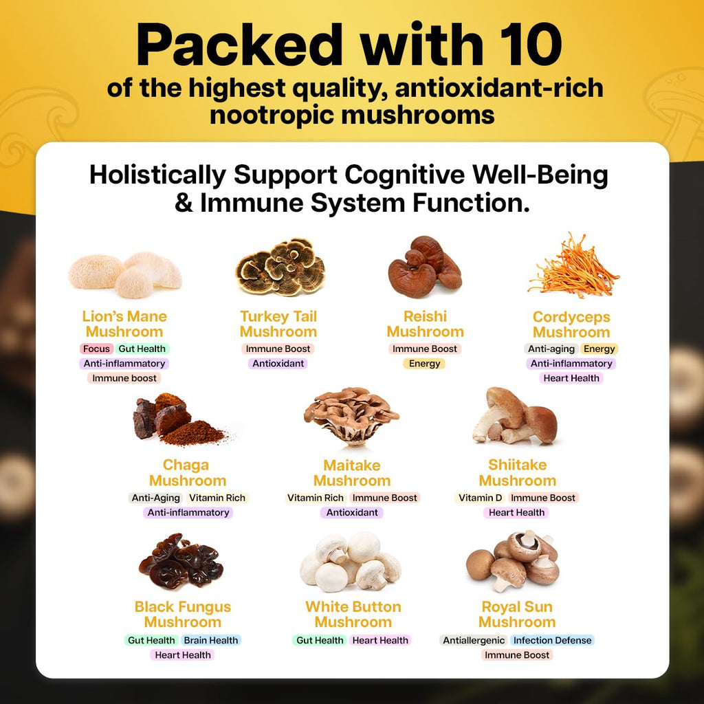 Mushroom gummies for cognitive support