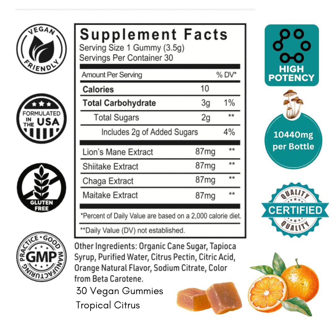 mushroom gummies for cognitive support